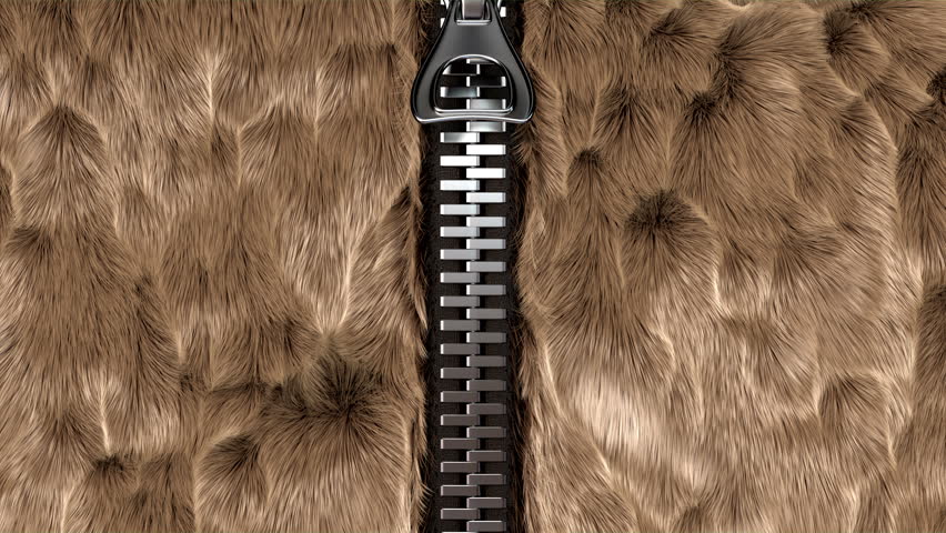 Unzipping A Zipper, Fur Coat Option. 3d Animation, 4K. Videos de ...
