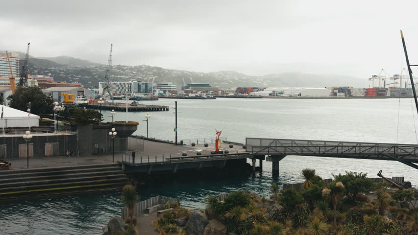 Wellington Harbour in New Zealand image - Free stock photo - Public ...