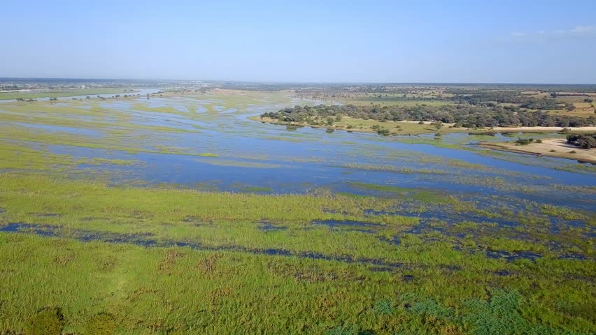 Landscape of the grasses of the Marsh image - Free stock photo - Public ...