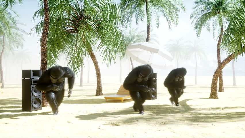 Funny Gorillas and Monkeys Dancing Stock Footage Video (100% Royalty ...