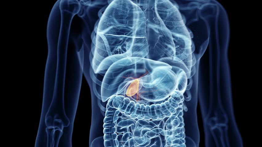Gallbladder Stock Video Footage - 4K and HD Video Clips | Shutterstock