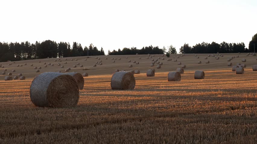 Farm landscape with fields and bales of hay image - Free stock photo ...