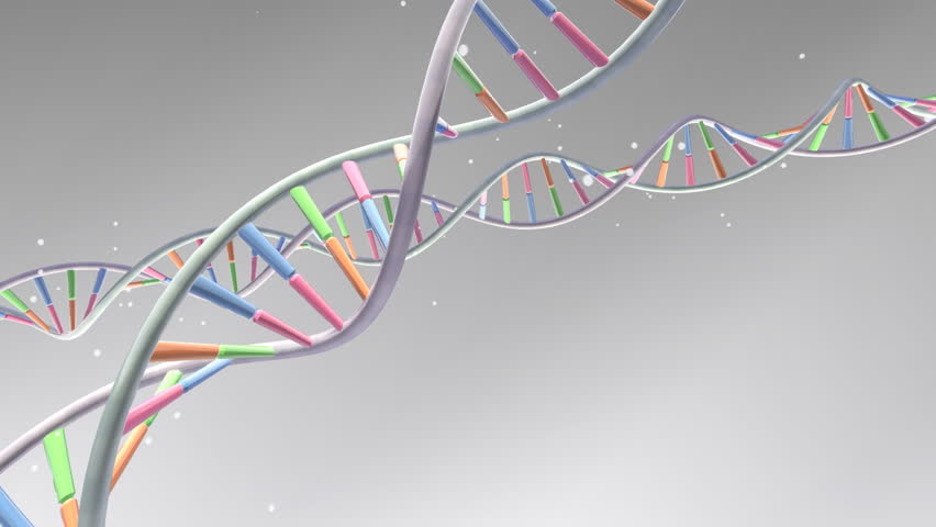 Conceptual Gene Animation Stock videoer 2064866 | Shutterstock