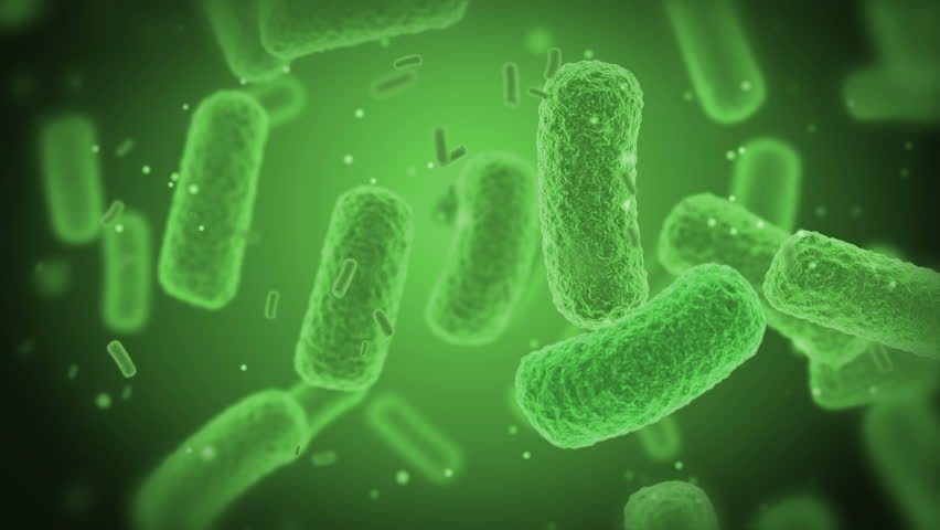 Bacteria Virus Or Germs Microorganism Cells Under Microscope With Depth ...