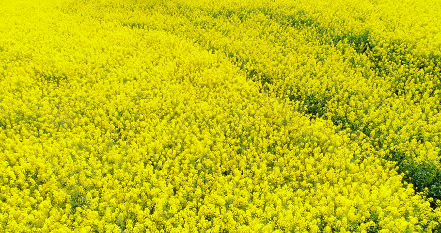 Aerial Above View of Spring Stock Footage Video (100% Royalty-free ...