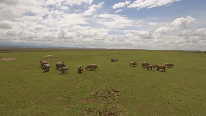 Trees in the landscape in Kenya on the Plains image - Free stock photo ...