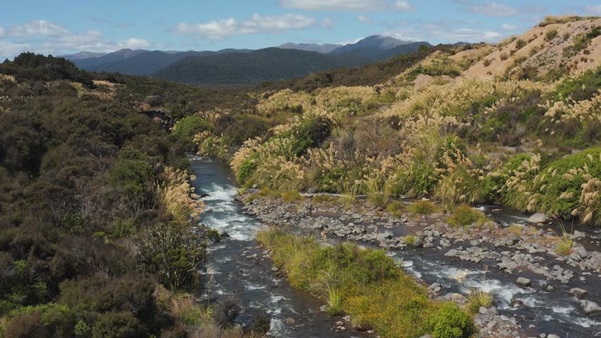 River and Stream landscape in New Zealand image - Free stock photo ...