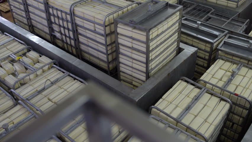 Cheese Factory and cheese products image - Free stock photo - Public ...