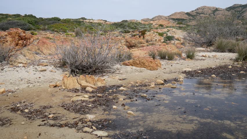 Landscape with Pond and sky and Marsh image - Free stock photo - Public ...