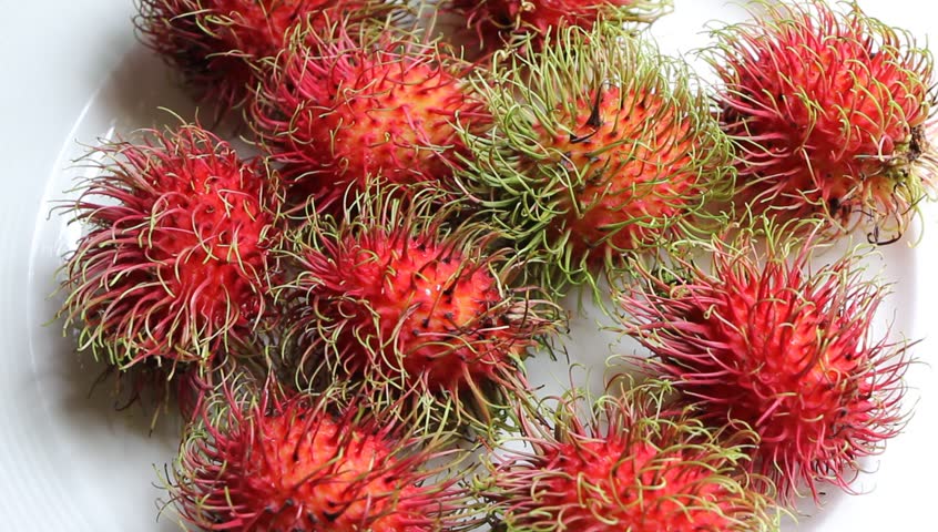 Stock video of closeup of rambutan fruit | 10297964 | Shutterstock