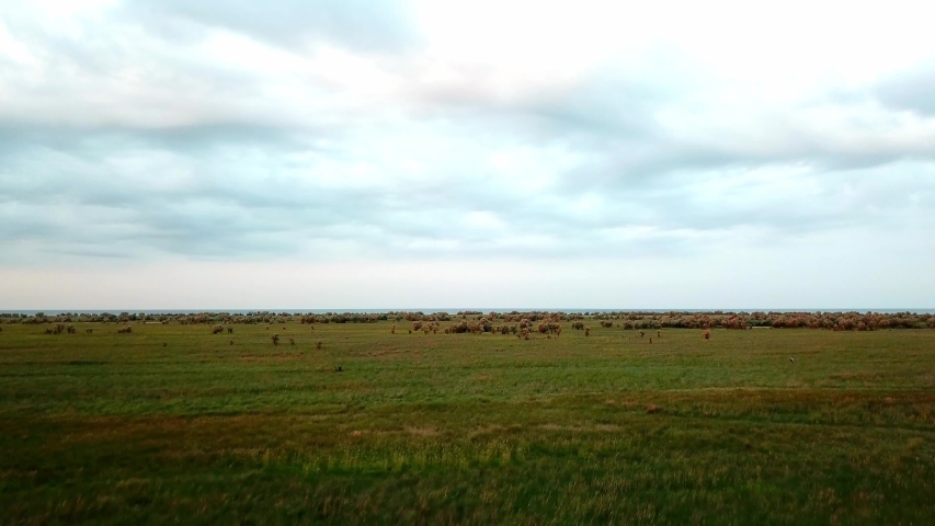 Sun and Prairie View Landscape image - Free stock photo - Public Domain ...