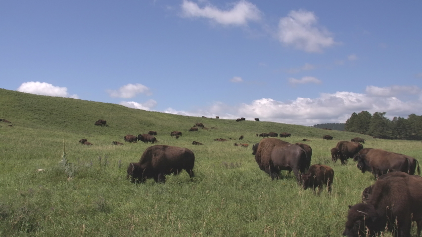 Grassland landscape on the great plains image - Free stock photo ...