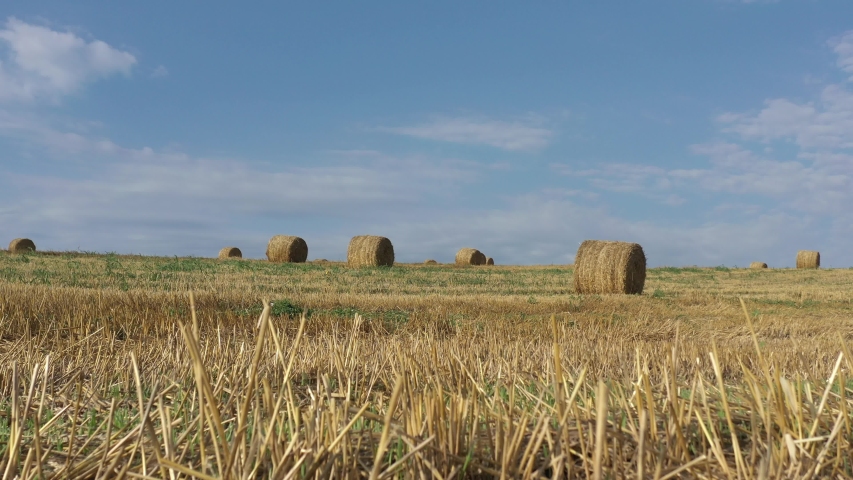 Farm landscape with fields and bales of hay image - Free stock photo ...