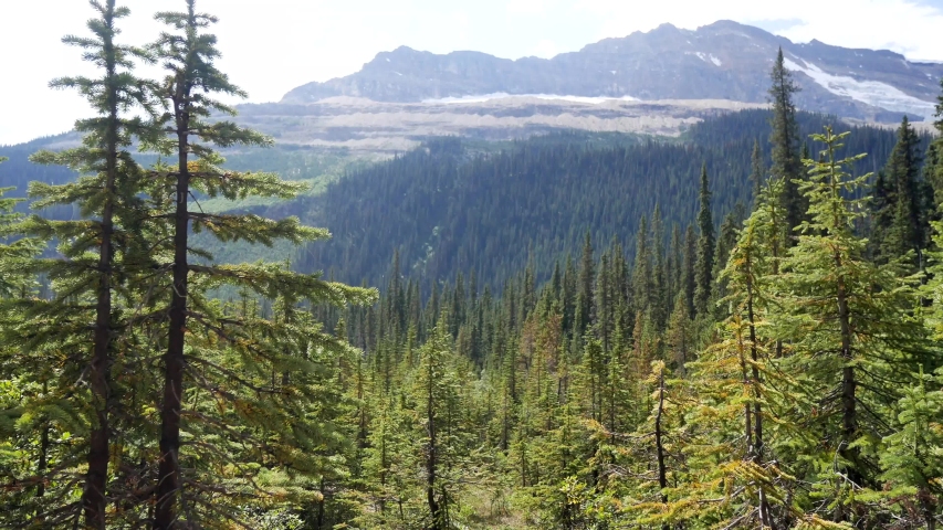 Beautiful Mountains in Jasper National Park, Alberta, Canada image ...