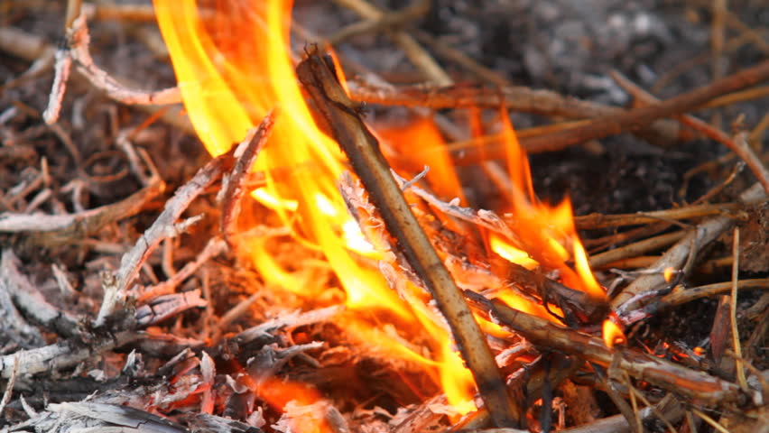 Burning Little Twigs. Video Close Up Footage Of Burning Twigs And Fire ...