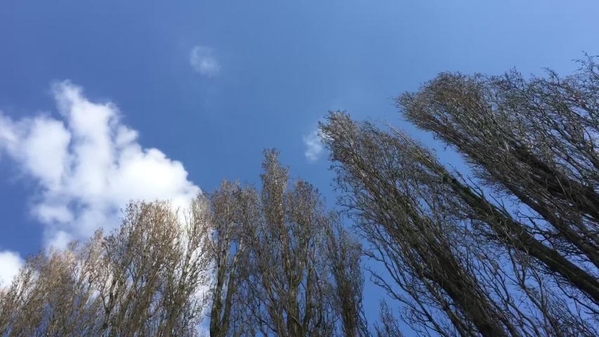 Cloud patterns in partly cloudy sky image - Free stock photo - Public ...
