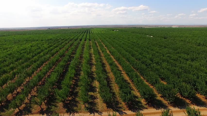 Stockvideo von in the frame there is a | 11740214 | Shutterstock