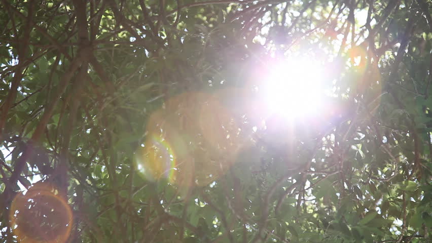 Stock video of reflection of the sun between the | 1276834 | Shutterstock