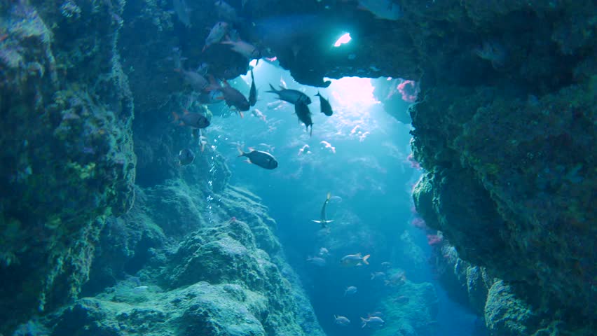 4k Footage - Underwater Scene. 스톡 동영상 비디오(100% 로열티프리) 12804854 ...