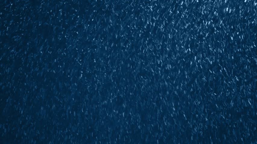 Falling Snow Fall Blowing Fast Stock Footage Video (100% Royalty-free ...