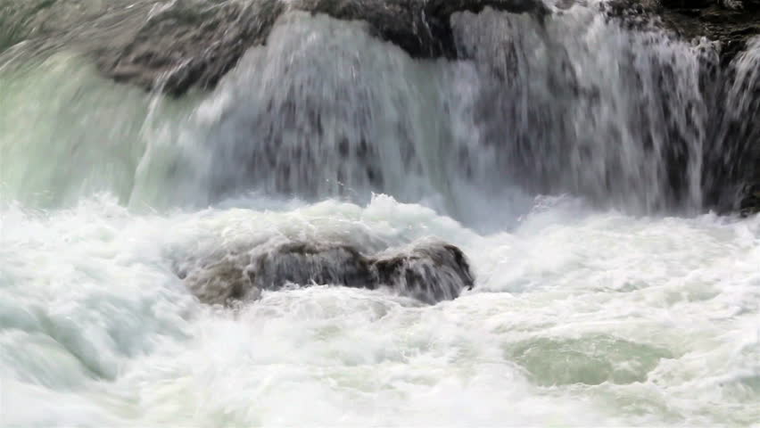 Steelhead Trout Tries to Jump Stock Footage Video (100% Royalty-free ...