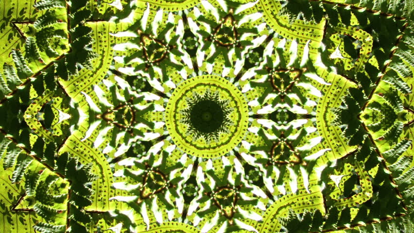 A Moving Kaleidoscope Of Flower Patterns. Looping Stock Footage Video ...