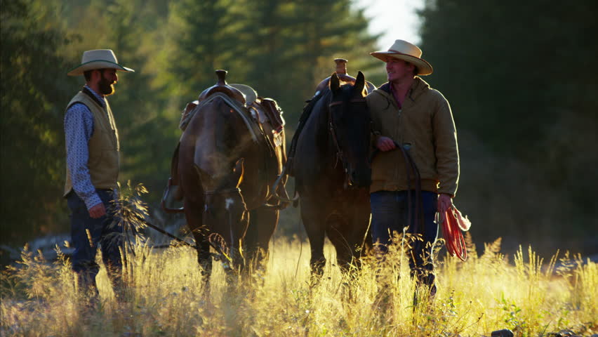Cowboys Resting Horses in Forest Stock Footage Video (100% Royalty-free ...