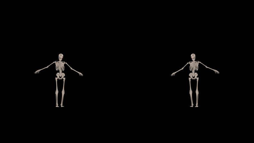 Clipe de Funny Skeleton Duo Dance - Halloween Intro | Shutterstock
