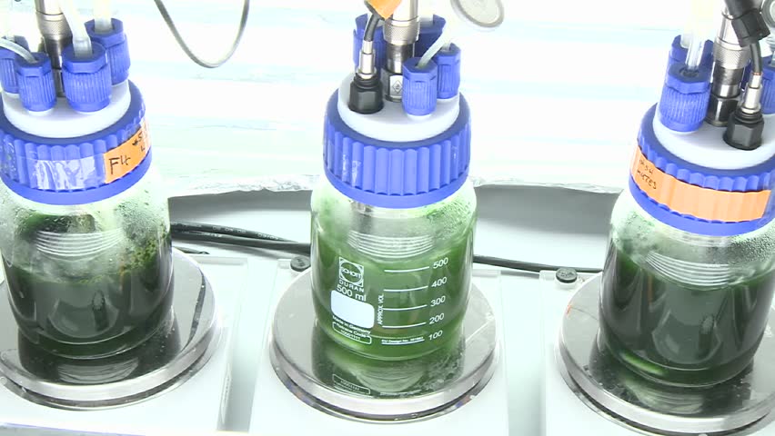 คลิปวิดีโอสต็อกของ Lab-scale, small scale photo-bioreactor with three ...