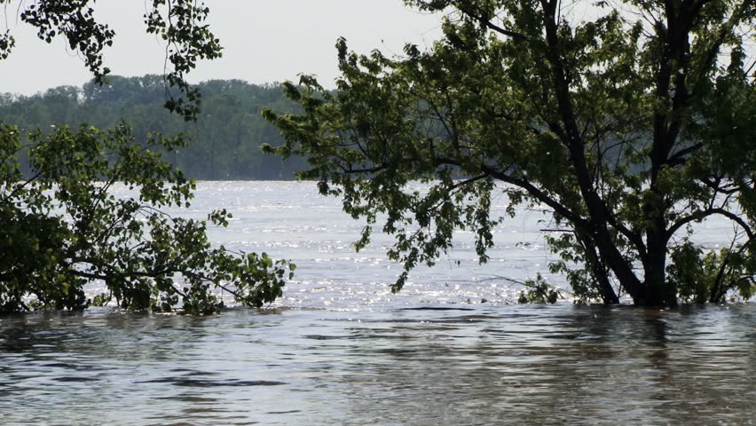 Tree planting plan to tackle urban flood risk - American Society of ...