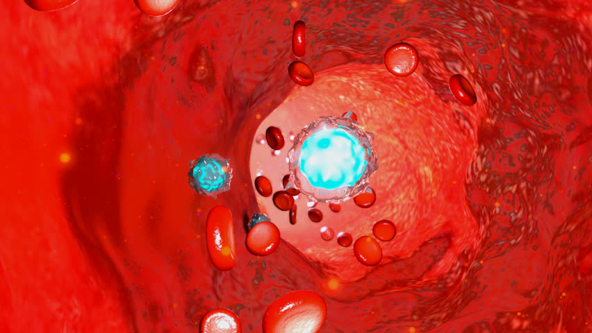 Blood Flow Stock Footage Video (100% Royalty-free) 15111424 | Shutterstock