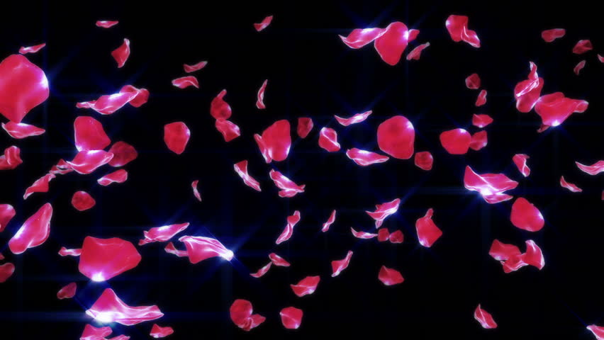 Red Rose Petals Falling On The Black Background. Alpha Channel Is ...