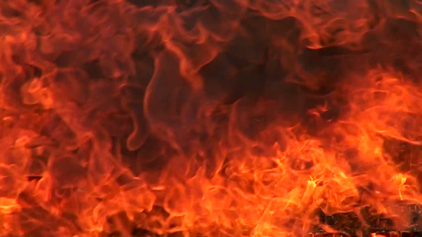 Forest Fire Very Close. Large Fire, Flames Of Fire And Black Smoke ...