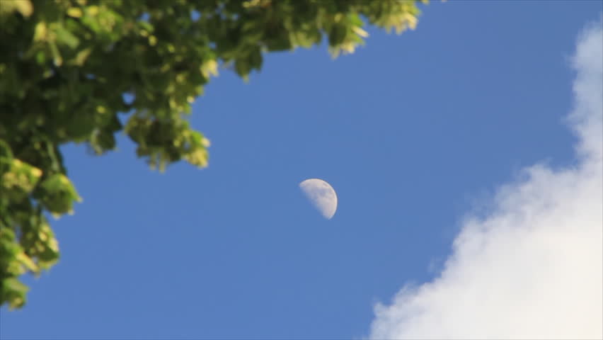 Moon In Daylight