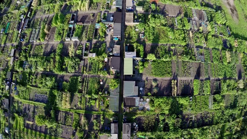 Aerial of Community Gardens or Stock Footage Video (100% Royalty-free ...