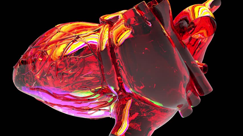 Model of Artificial Human Heart Stock Footage Video (100% Royalty-free ...