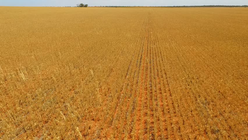 Aerial Views of Dry Land Stock Footage Video (100% Royalty-free ...