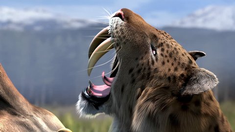 Smilodon Stock Video Footage - 4K and HD Video Clips | Shutterstock