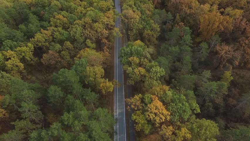 Aerial View Of The Colorful Autumn Forest.Look Down On Autumn Forest ...