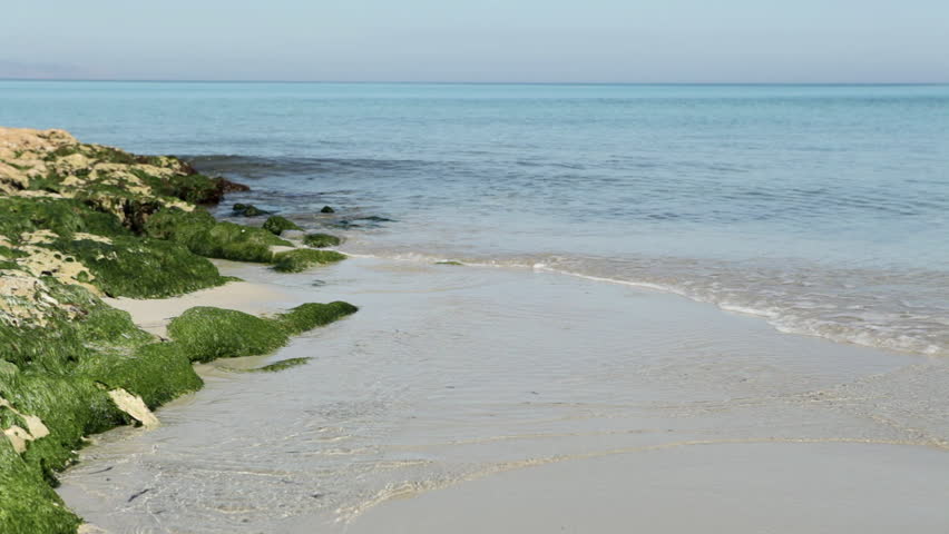 Green Rocks at Sea Shore Stock Footage Video (100% Royalty-free ...