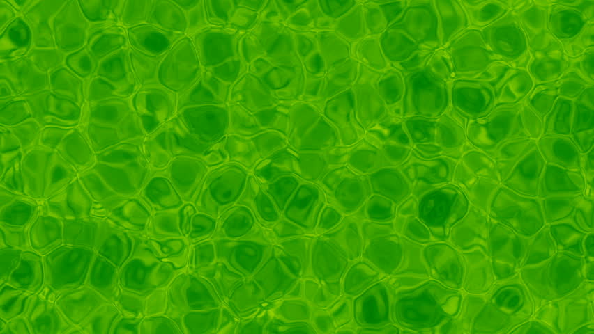 4k Cell Splitting, Dividing And Mixing Simplified Scientific Motion ...