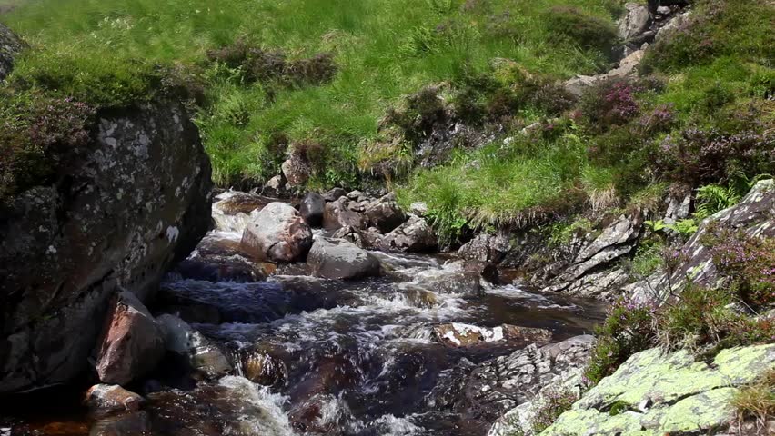 A Brook Flows Around Rocks Stock Footage Video (100% Royalty-free ...