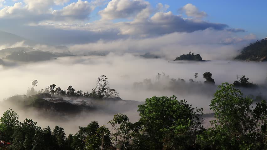 High Humidity In Mountains And Jungle Rainforest. Timelapse Of Moving ...