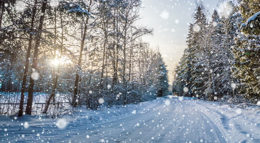CINEMAGRAPH, 4k, Falling Snow In The Winter Forest, Loop Stock Footage ...