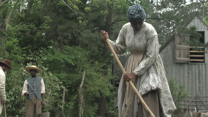 Field Slaves Stock Footage Video | Shutterstock