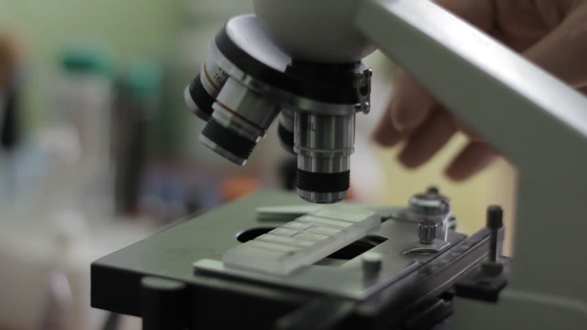 Pharmaceutical Laboratory, Examination Of A Substance Under A ...