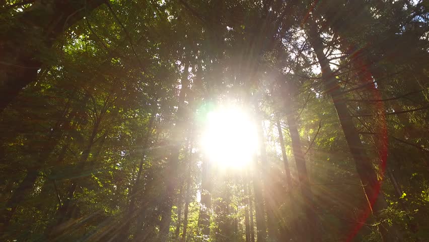 Strong Sun Rays Coming Through Stock Footage Video (100% Royalty-free ...