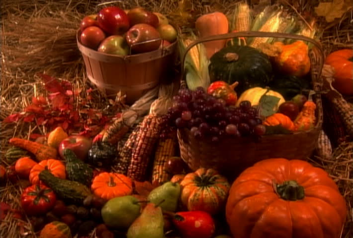 Stock video of fall harvest foods | 2363654 | Shutterstock