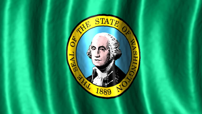 George Washington United States Flag