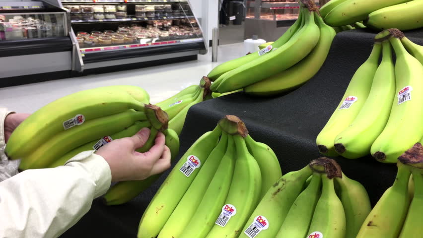 Coquitlam, BC, Canada - April 02, 2016 : Woman Selecting Banana Inside ...